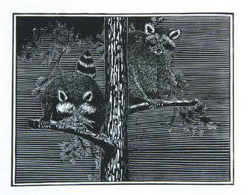 Snyder (gary) True Night