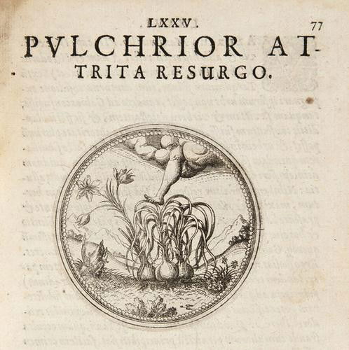 Camerarius (Joachim) Symbolorum & Emblematum Ex Re - Nov 24, 2010 ...