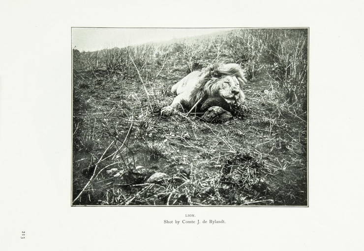 Foa (edouard) After Big Game In Central Africa,