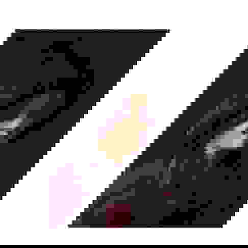 Emma Muller (1859 - 1925) Auction