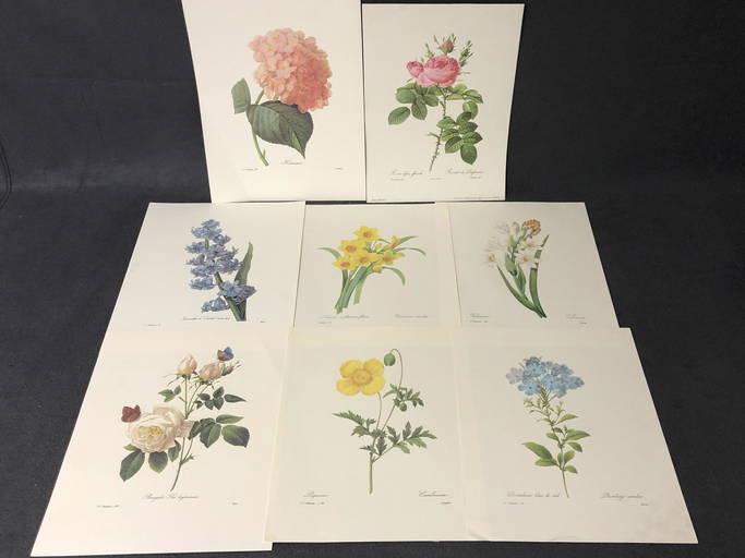 (8)P.J. Redoute Botanical Flower Prints - (1) 9.75'' x - Sep 30, 2021 ...