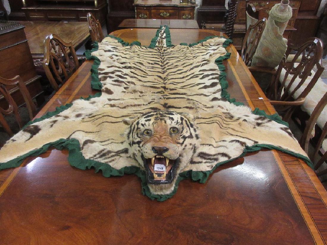 19th Century taxidermy tiger skin rug, 93ins long from
