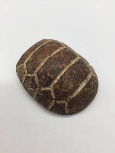 Antique Turtle Shell Fan