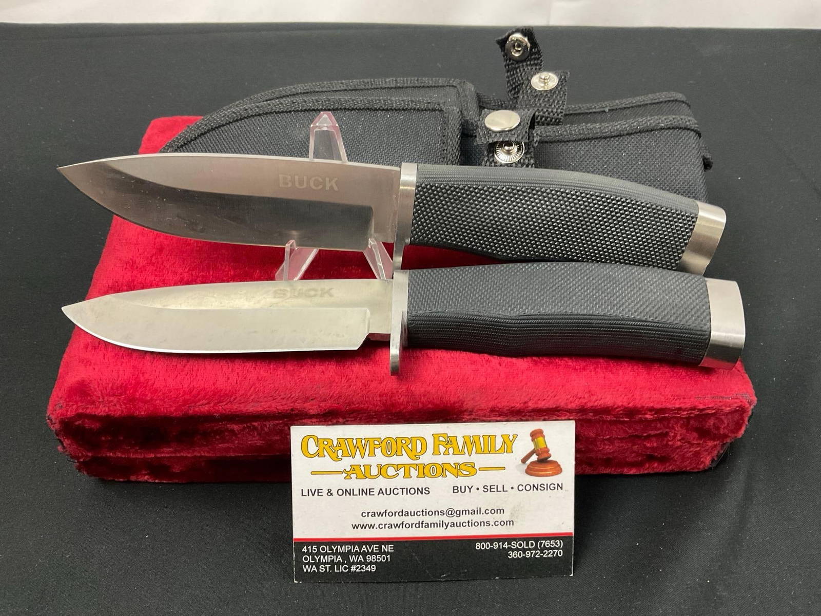 Pair Of Classic Buck Fixed Blade Knives, W/ Nylon Sheaths, 4.5 Inch ...