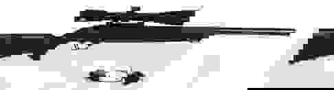 Ruger 10/22 Heavy Barrel Semi Auto Rifle .22 Lr Auction