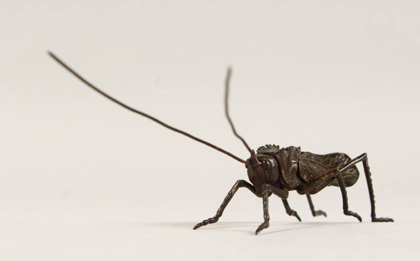 A Japanese Bronze Articulated Locust.