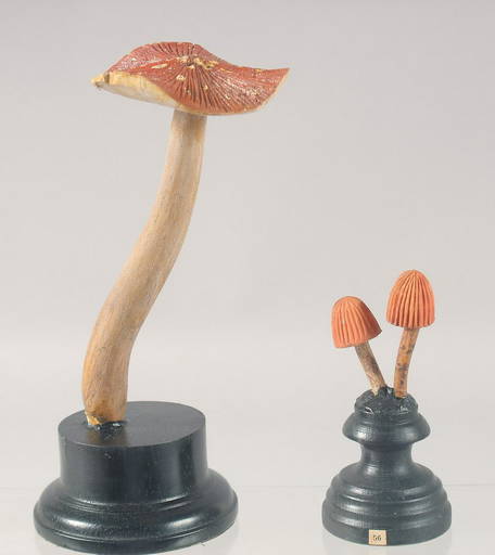 Two Mushroom Specimens On Stands. 6ins &2.5ins High.