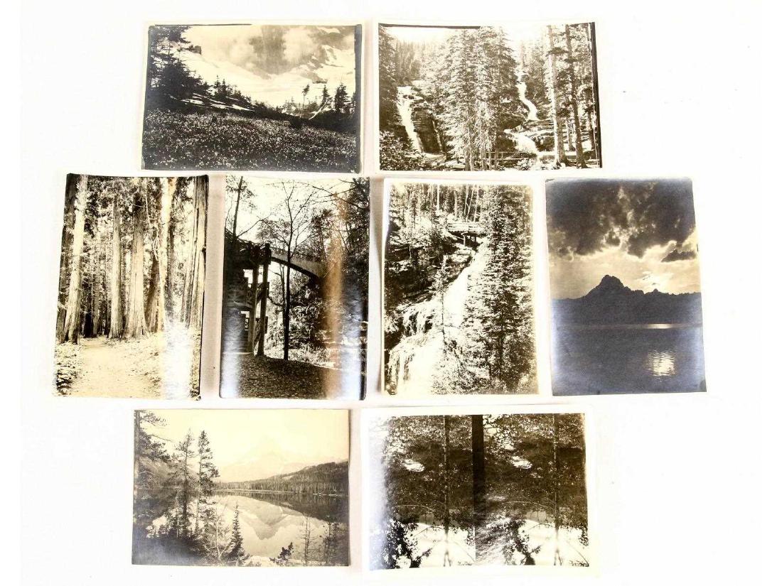 Ellis Prentice Cole (1862) 16 Photographs