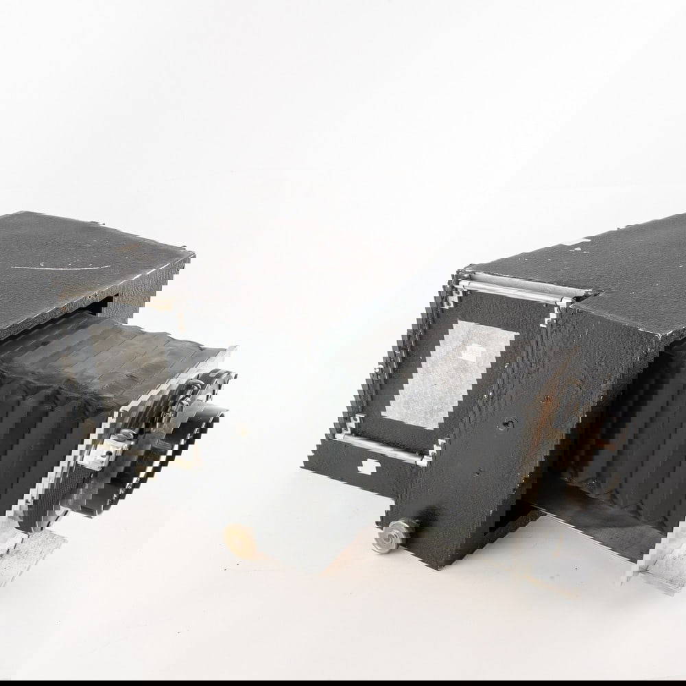 Three-color Camera Auction