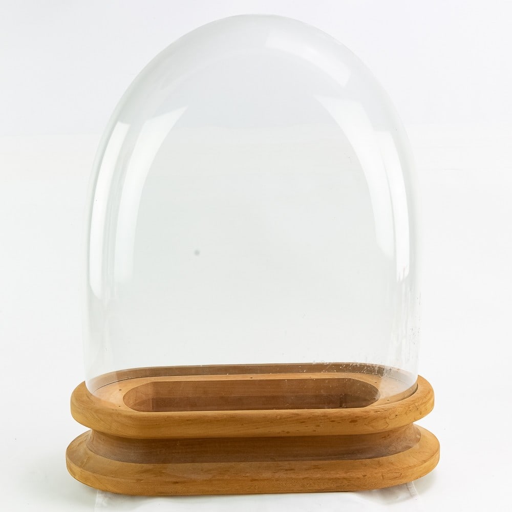 Large Glass Display Dome 2pcs. With Wood Base Auction