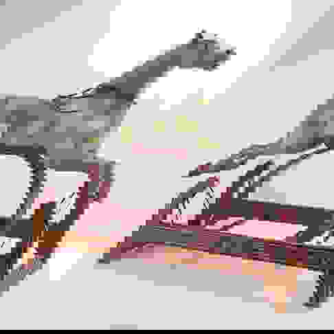 1890s Wood Glider Rocking Horse Auction