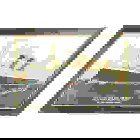 Allan Line Steamship Alsatian Framed Lithograph Auction