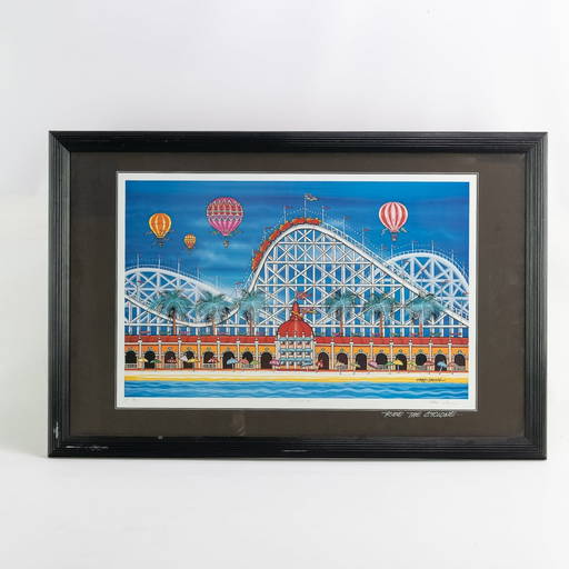 "ride The Cyclone" Framed Print By Fred Bonn