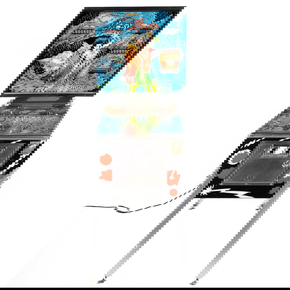 Williams Flash Pinball Machine Auction