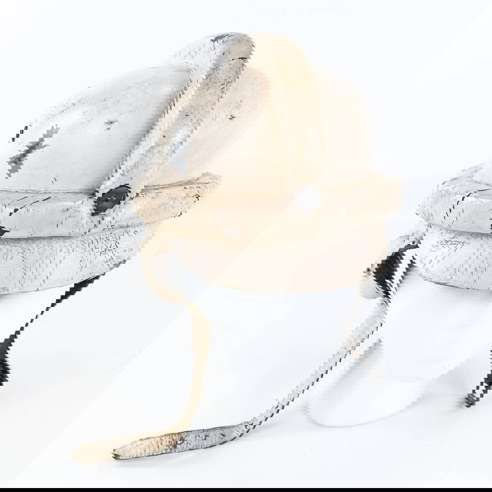 Wwii Nskk Motorcycle Helmet Racing Auction