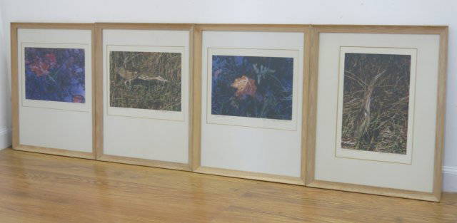 Helen Manzer, 4 Framed Photographs