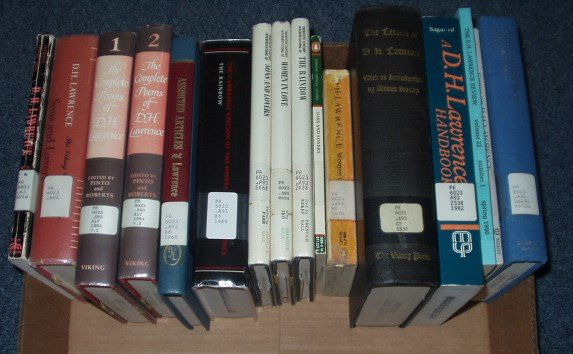 Rainbow Essays D. H. Lawrence Cambridge Letters