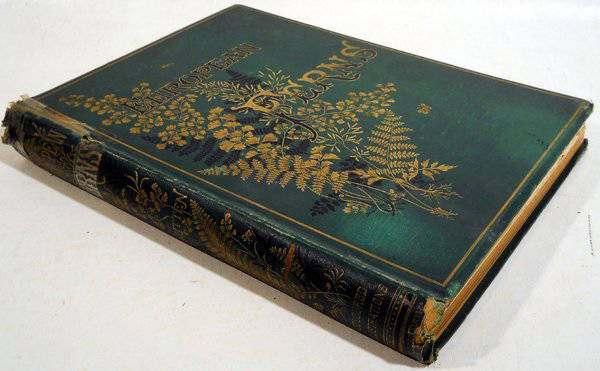 James Britten European Ferns 1880 Antique English