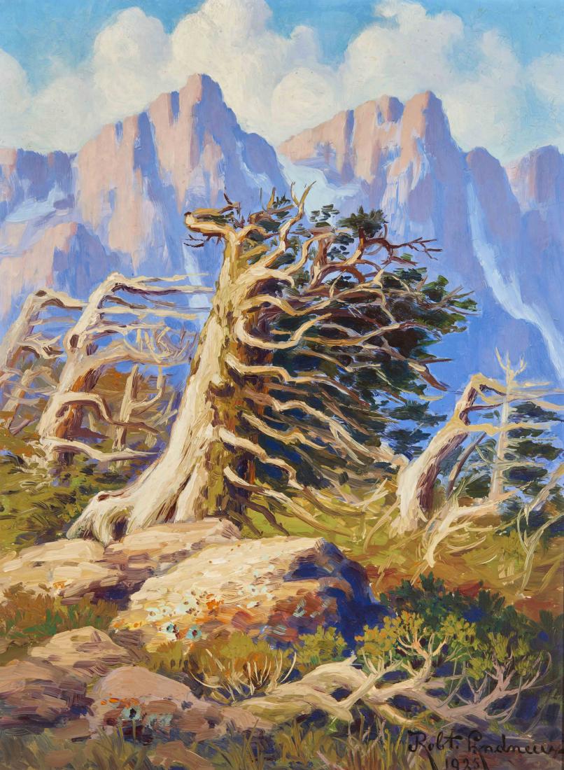 Robert Lindneux | Timberline Trees