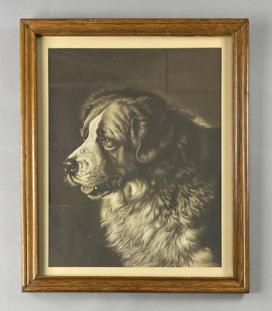 St Bernard Dog Lithograph Paton C.1900 Auction