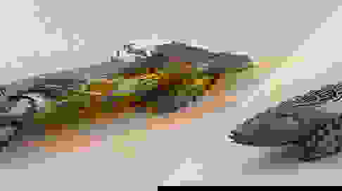 1940's Marx Rocket Racer Pressed Steel Wind Up Car Auction