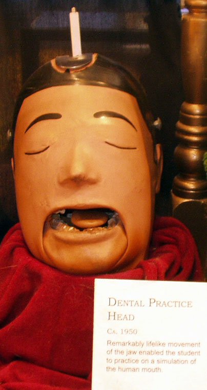 Dental Practice Head