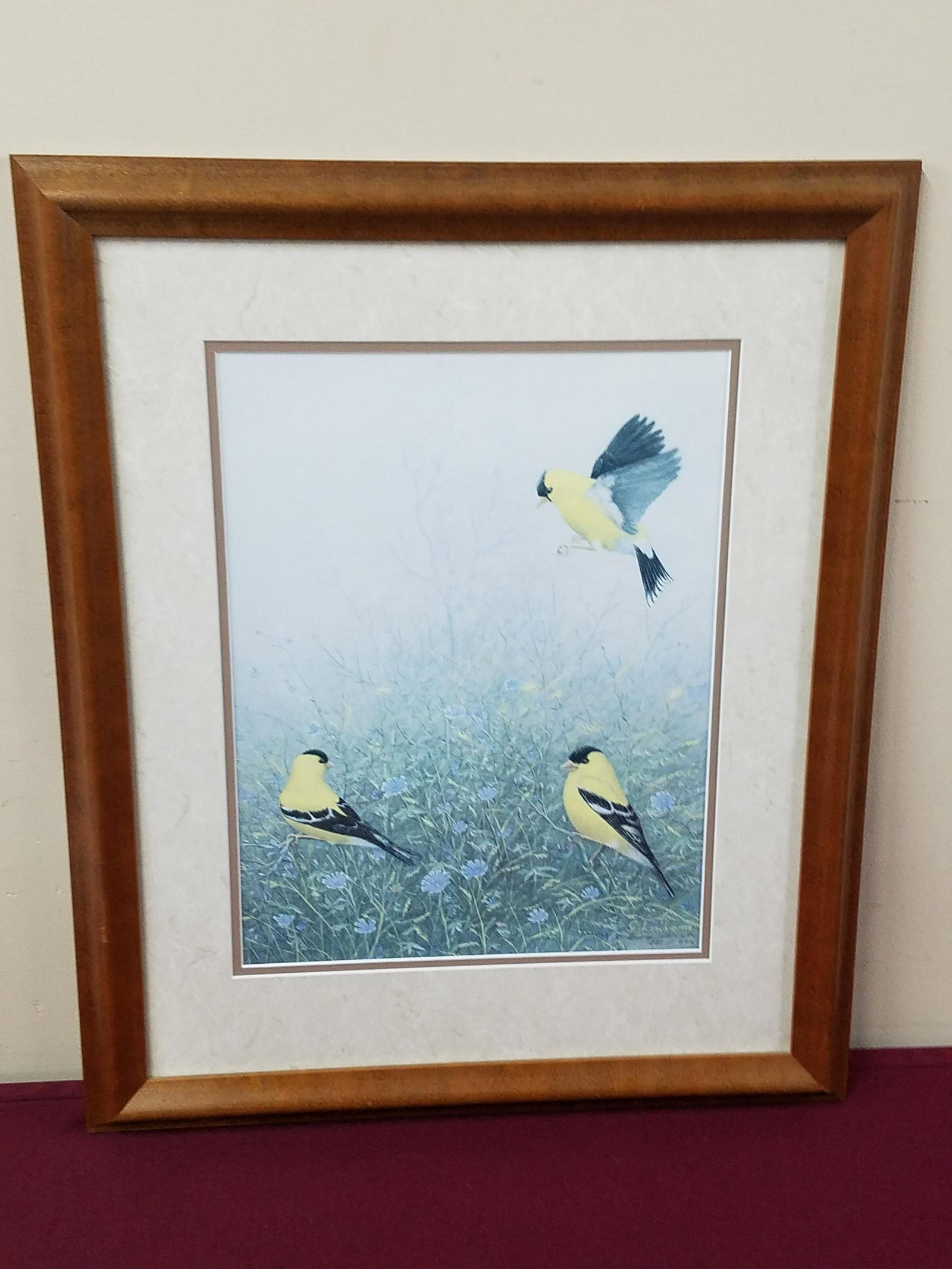 George Losch American Gold Finches Print | Barnebys