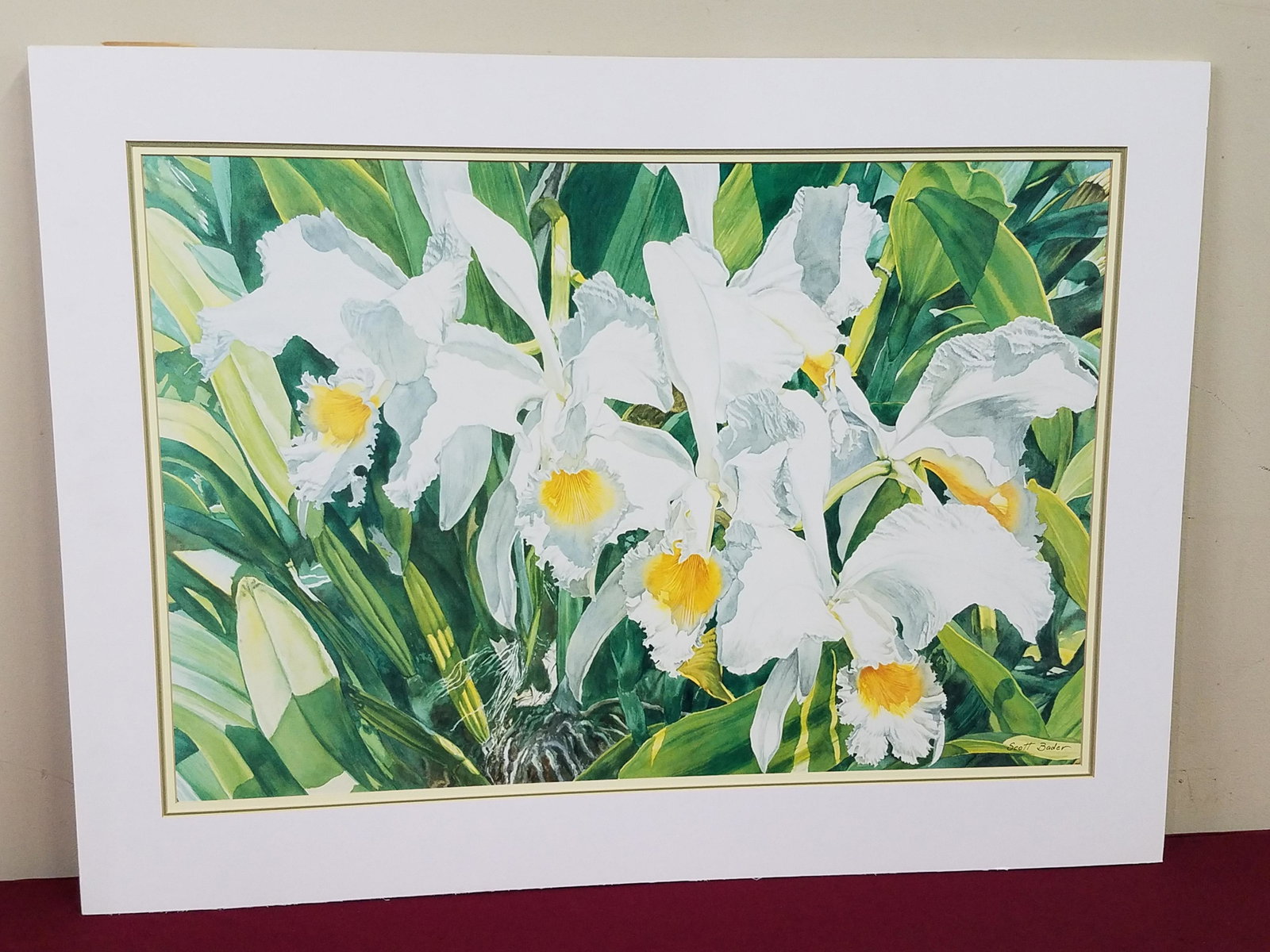 Scott Bader Iris Print