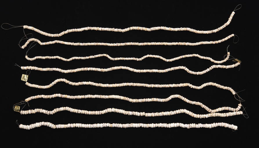 143" Strung Shell Beads