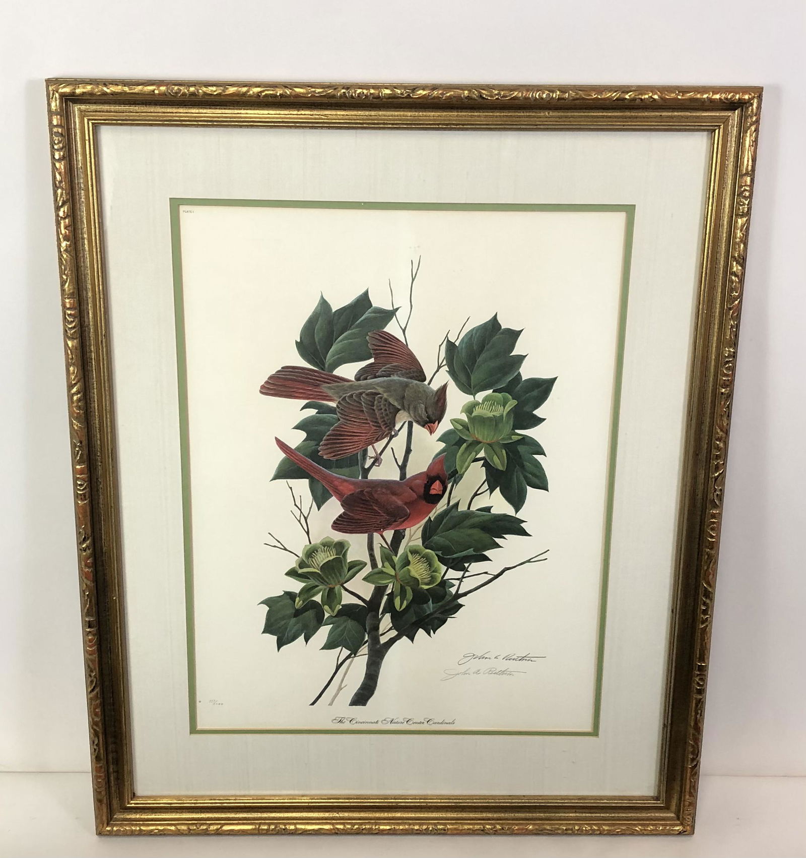 John Ruthven Cardinals Signed Lithograph
