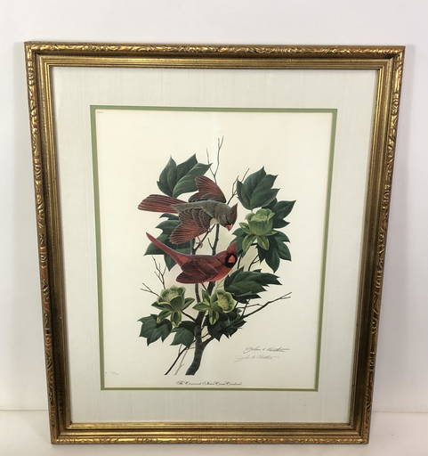 John Ruthven Cardinals Signed Lithograph
