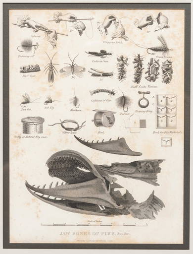 Vintage Etching Jaw Bones Of Pike Etc.