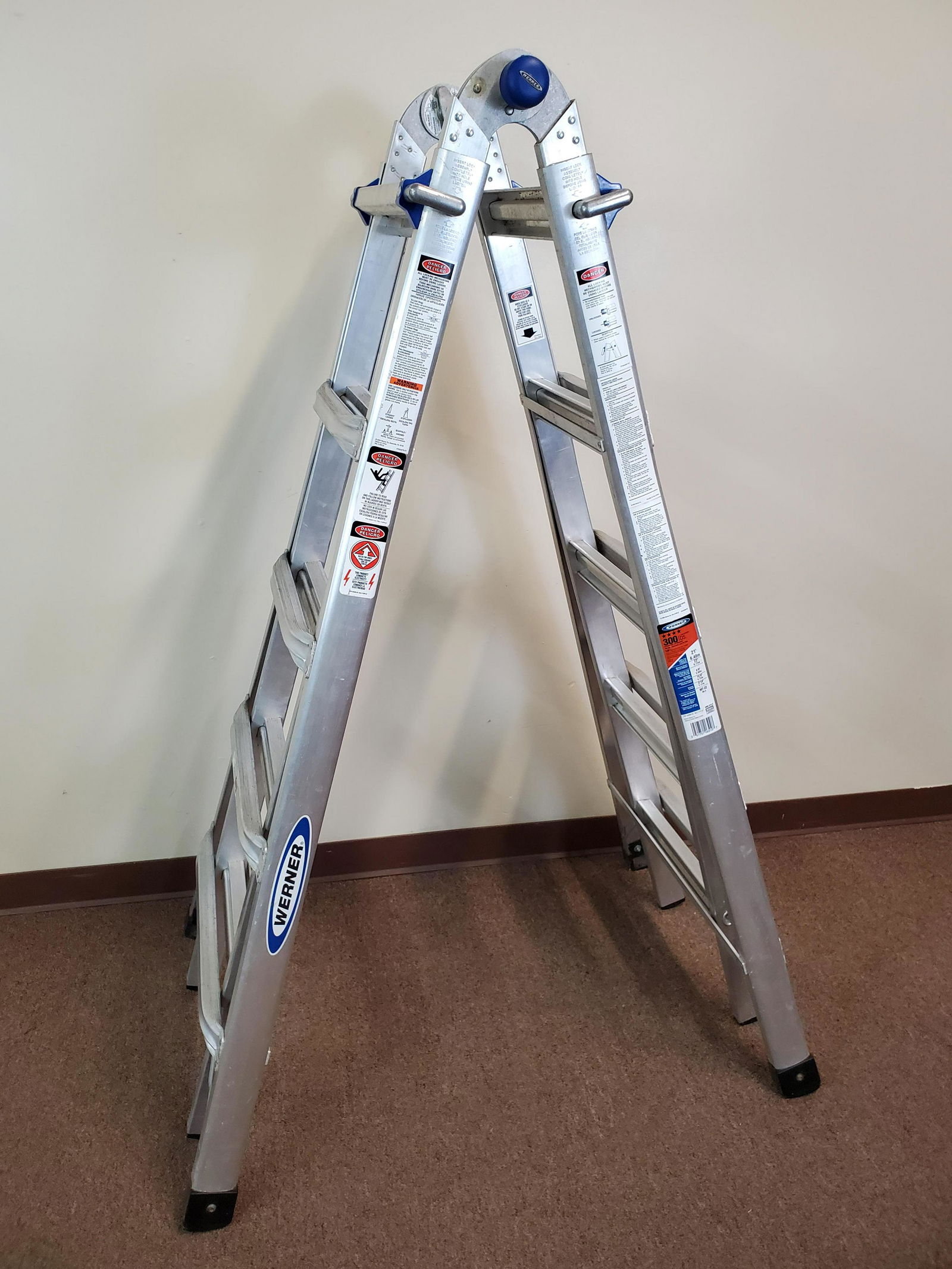 Werner 300lbs 21ft Ladder