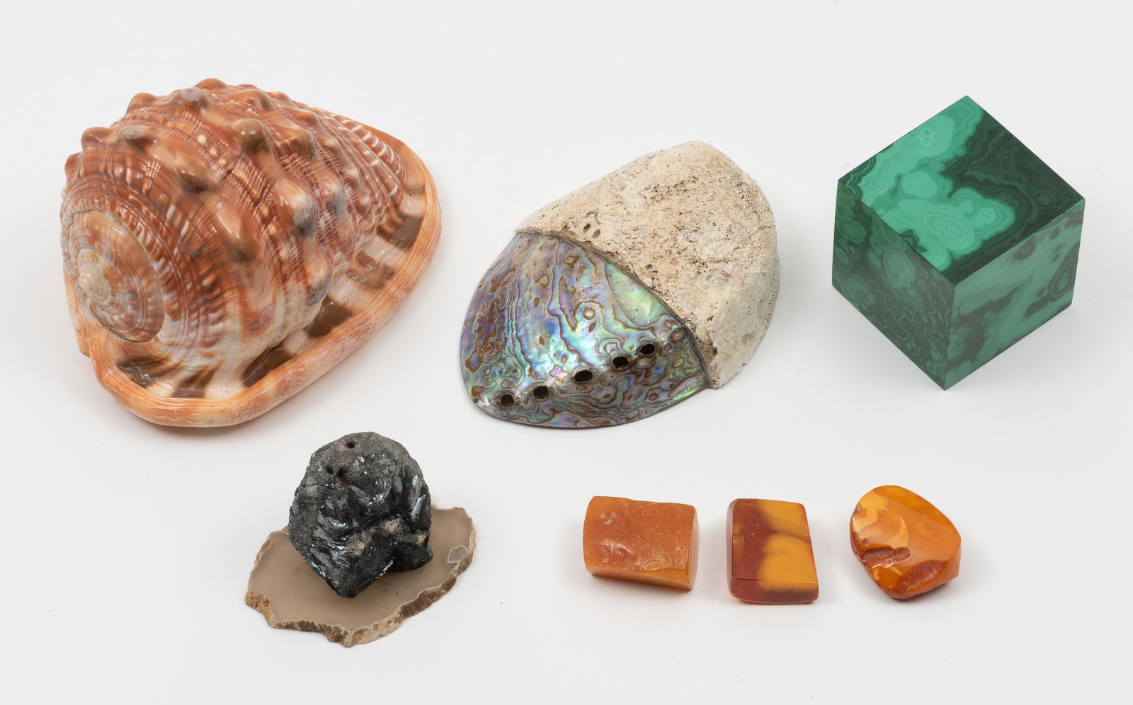 7 Pcs Mineral Samples & Shells