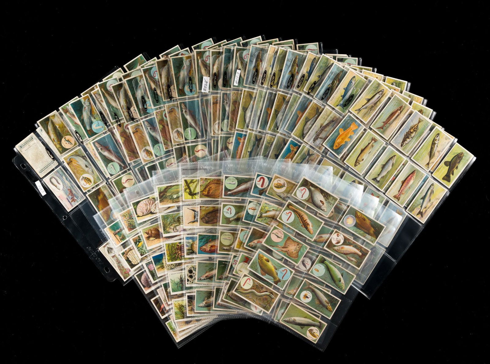 10 Full And Partial Sets Fish Cigarette Cards