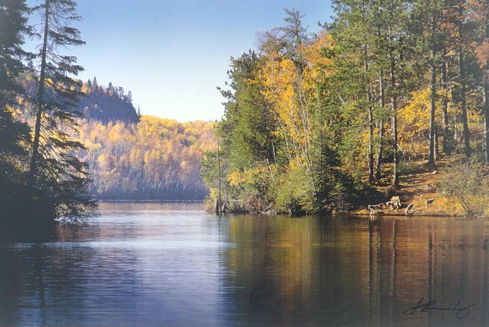 Jim Brandenberg "wolves On Moose Lake" Signed Photograph Auction