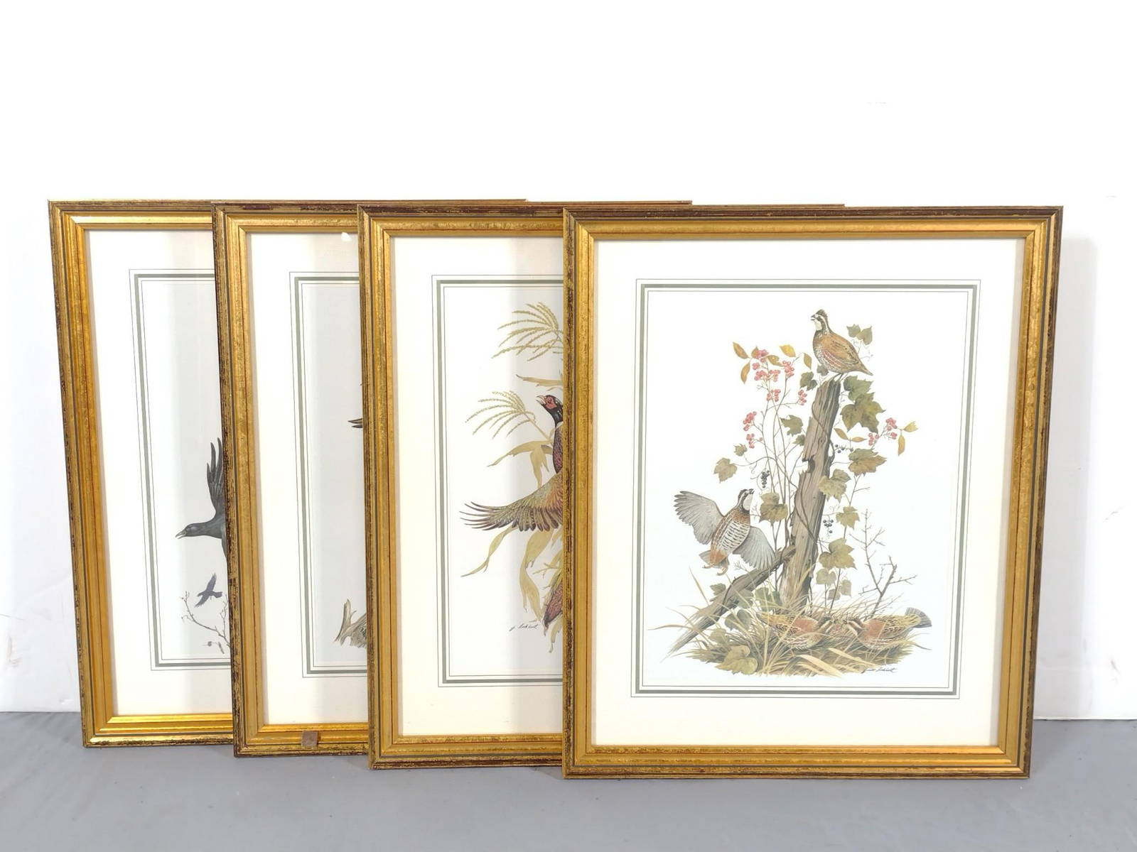 4 James Lockhart Wildlife Prints Incl Birds Auction