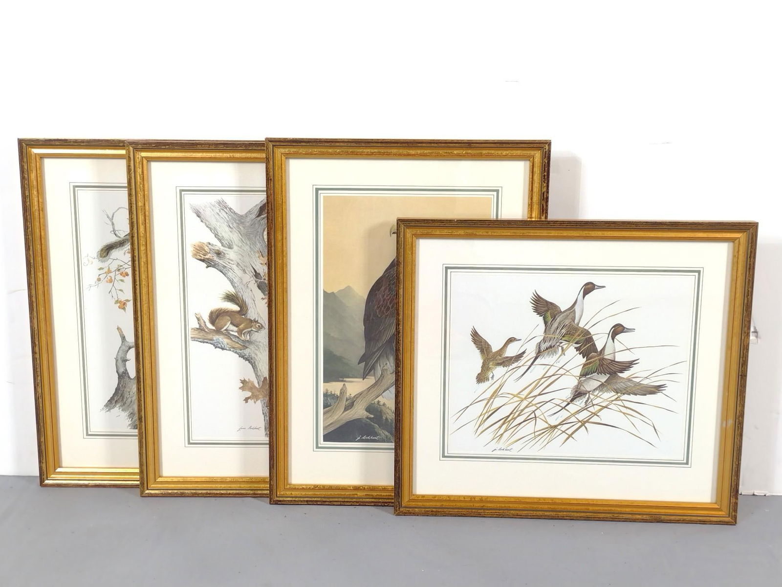 4 James Lockhart Wildlife Prints Incl Bald Eagle