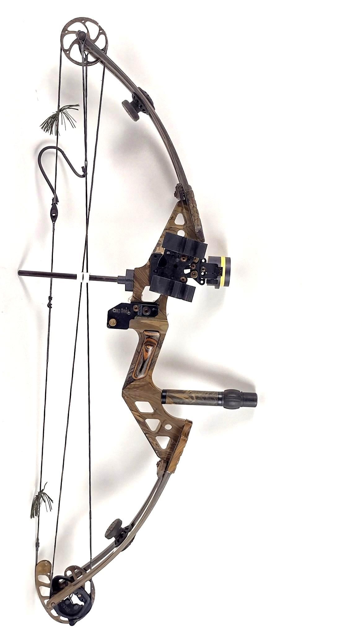 Alpine Sidewinder Bow Auction