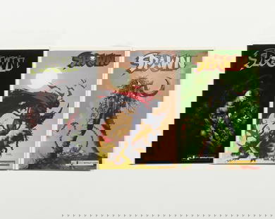 Spawn Original Series Issue 119 Comics Auction