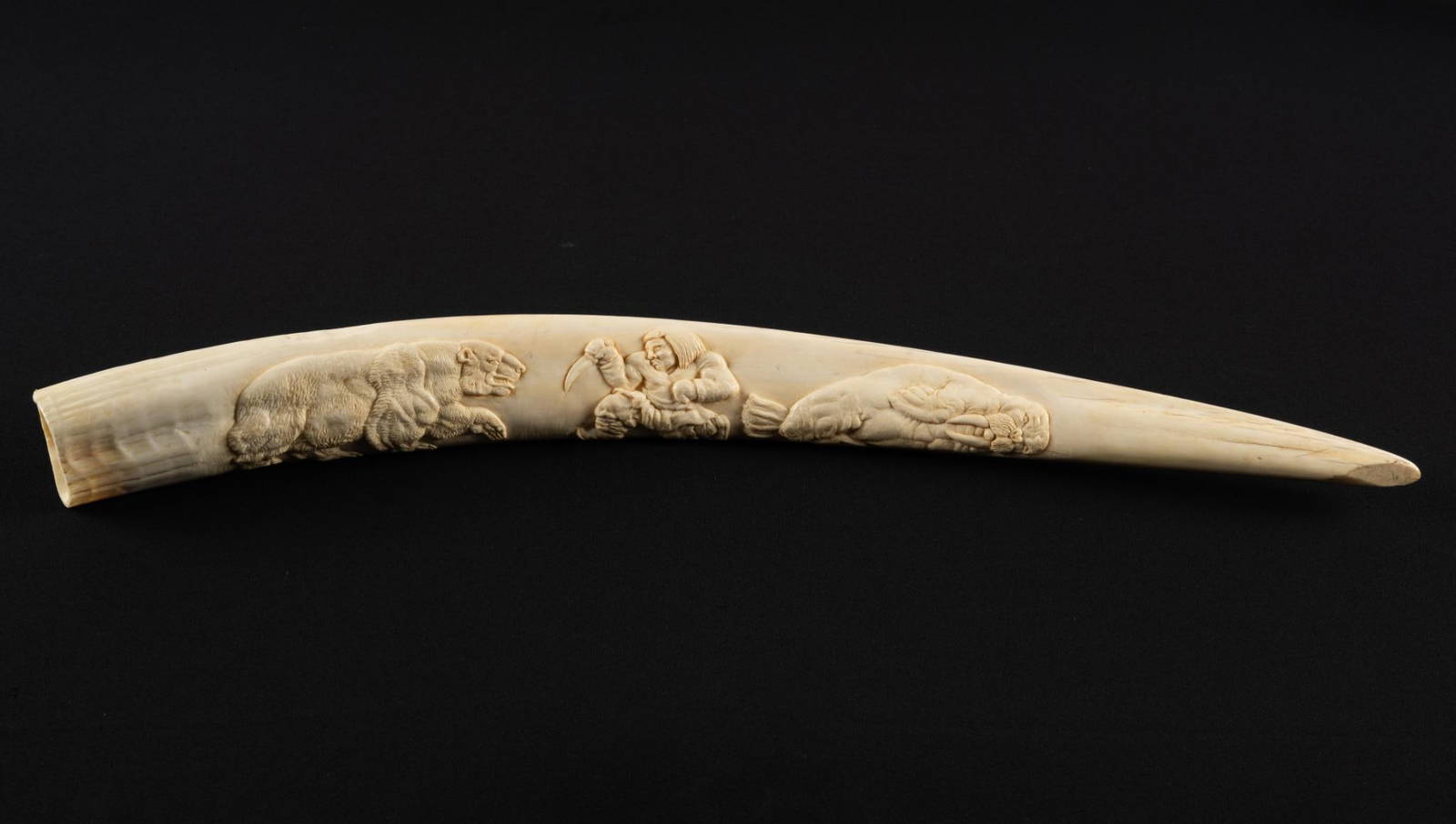 Inuit Chukchi Carved Walrus Tusk Auction