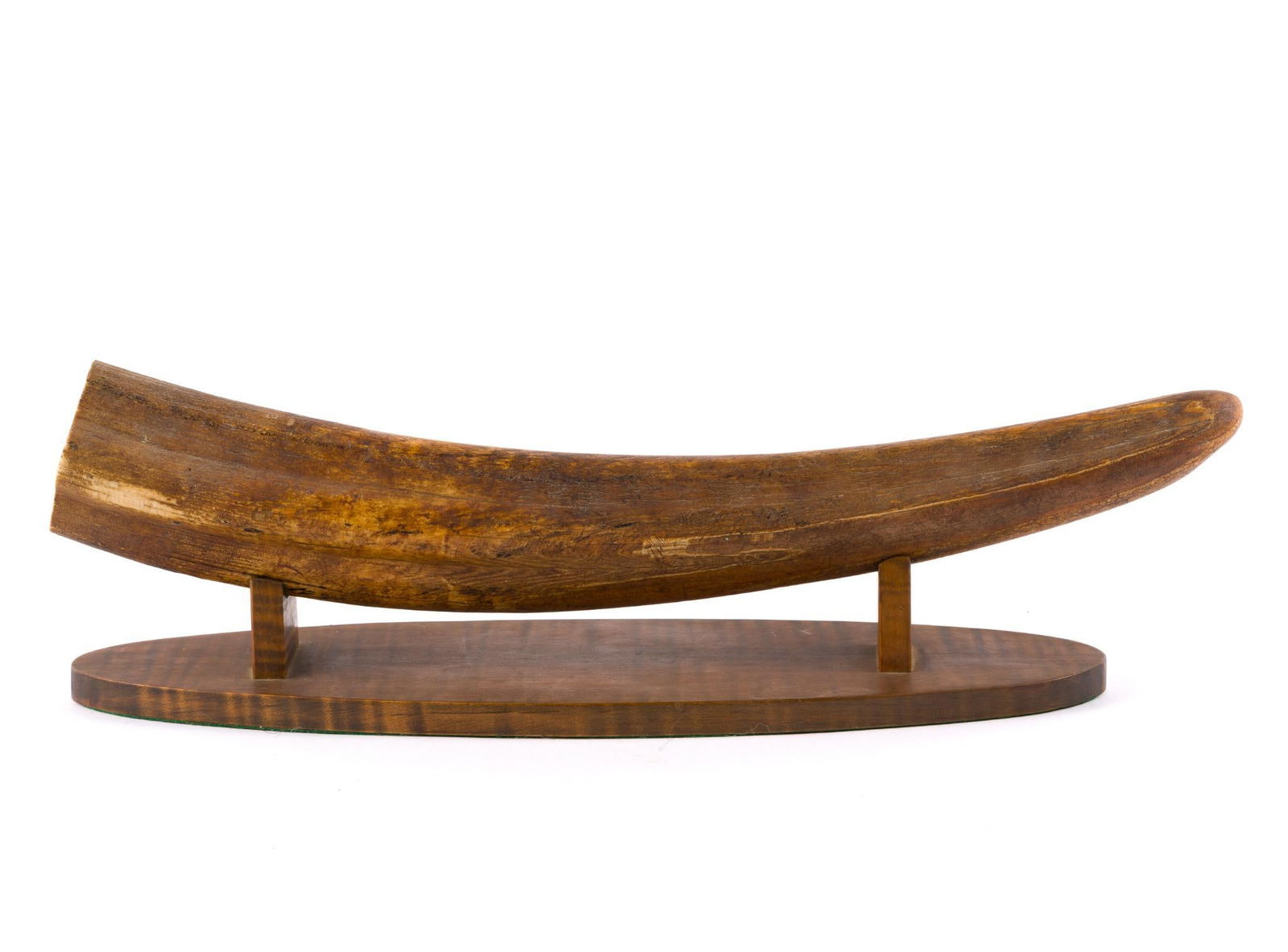 Mammoth Tusk W/ Stand Auction