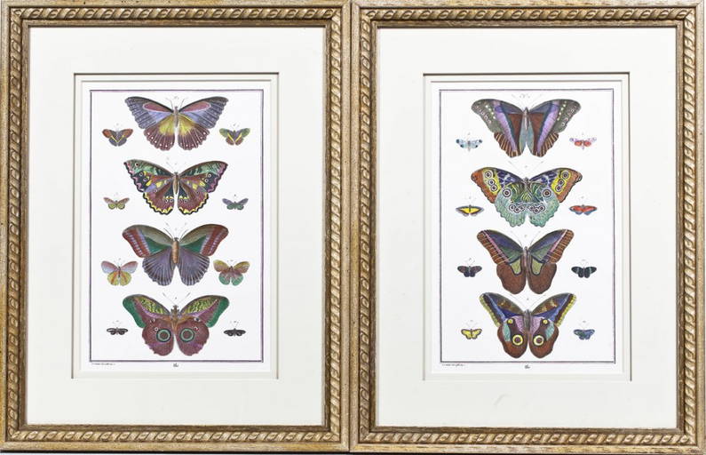 Pair Hand Colored Butterfly Bookplates
