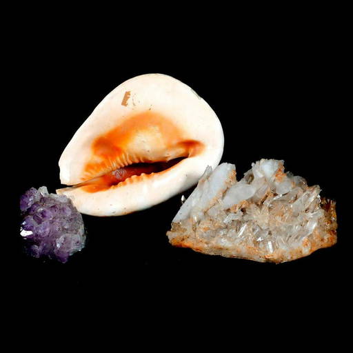 Collection Of Crystals And A Conch Shell.
