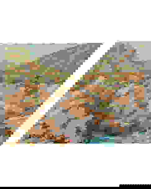 Gary Ray (born 1952) Auction