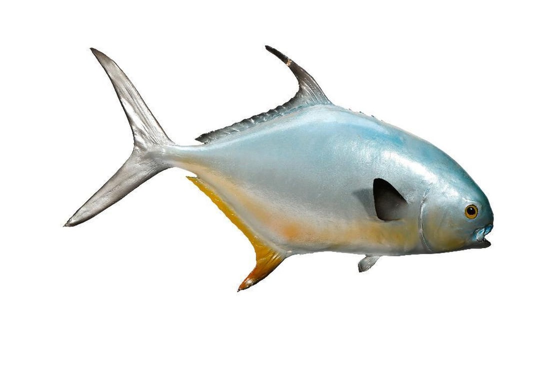 A Salt Water Pompano Fish Mount. Auction