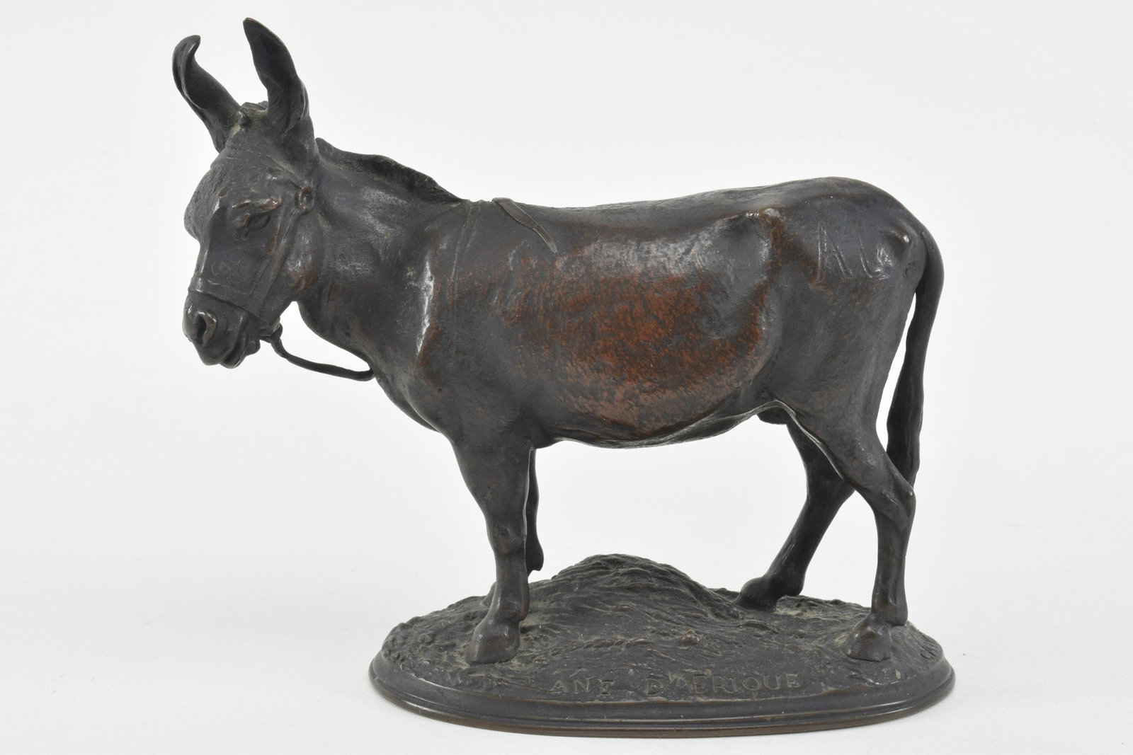 Nicholas Cain "Ane D'Afrique" bronze sculpture of an | Barnebys