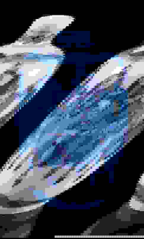 Vasiform Porcelain Snuff Bottle. China. 18th/19th Century. Yung Cheng ...