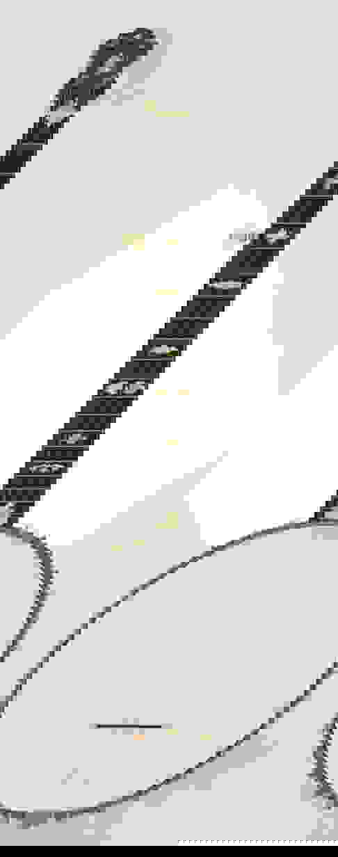 Lyon & Healy "mystic" Banjo, Circa 1890. Typical Shell Inlay On 20 Fret ...