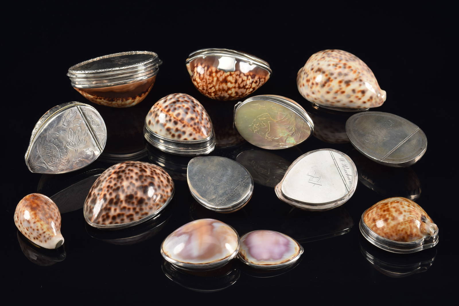 Collection Of 13 Antique Silver Mounted Cowrie Shell Boxes. 1 ...